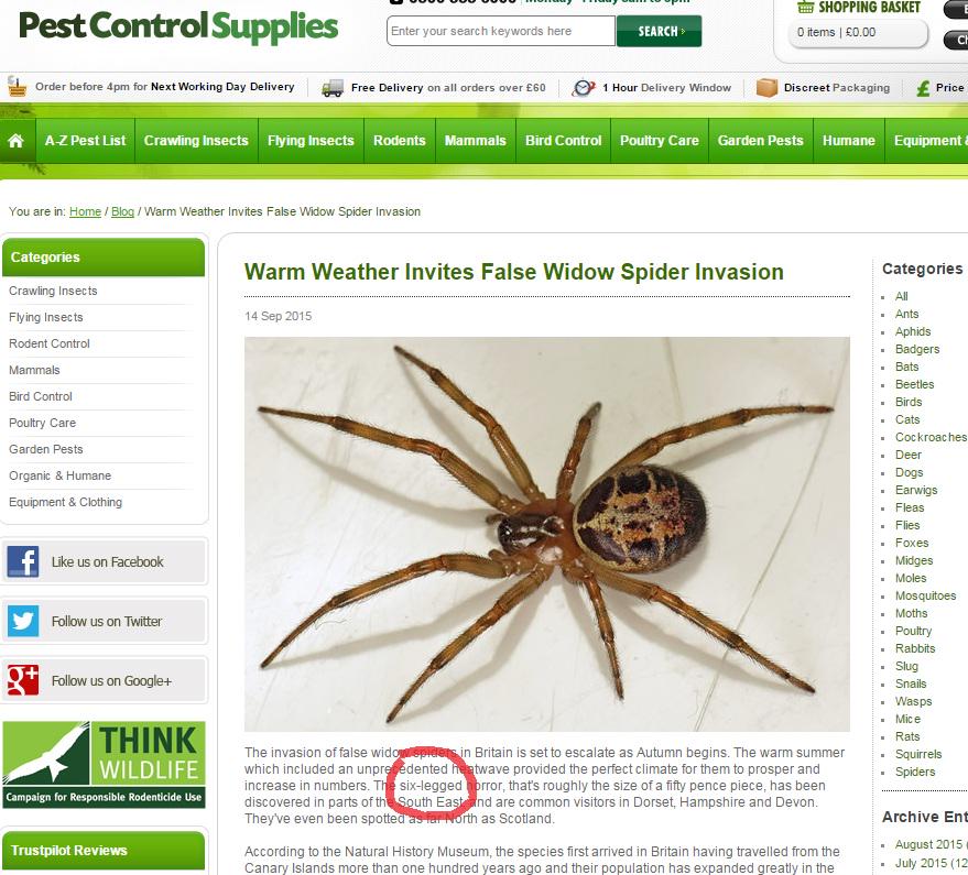 Eight Pest Control | Pest Control