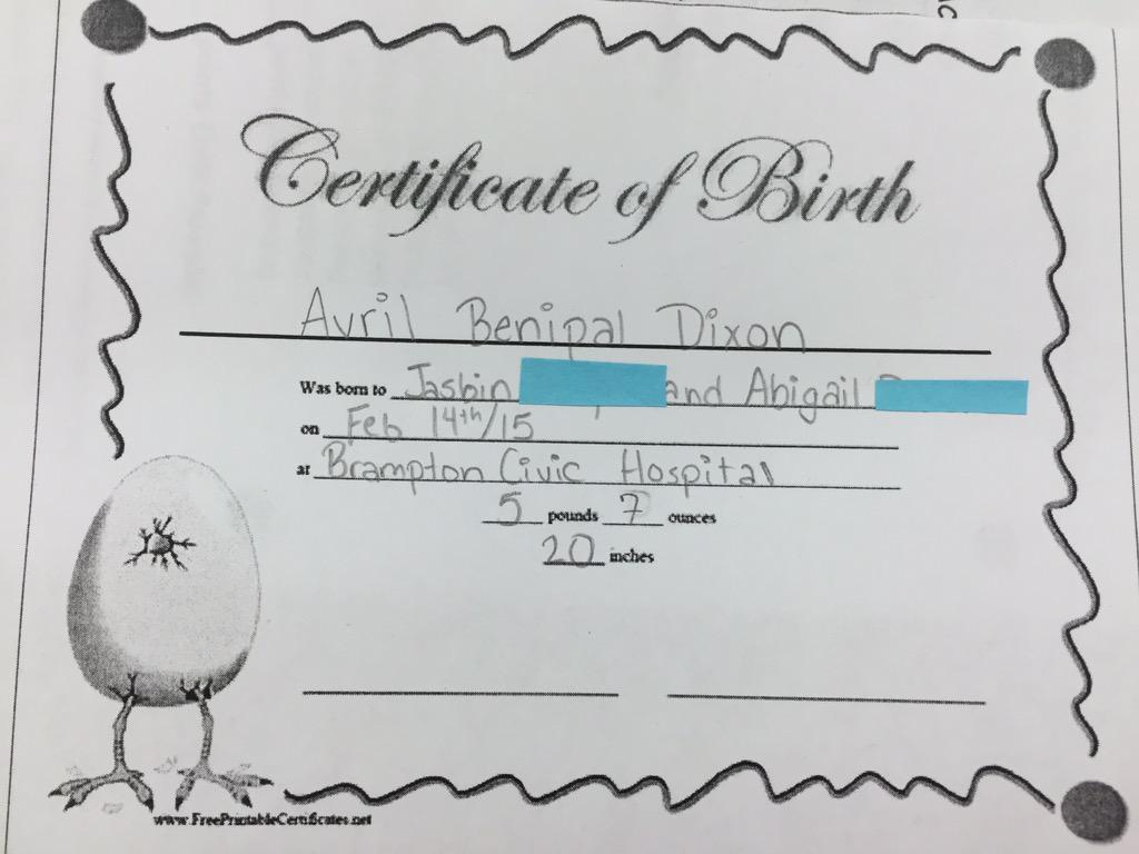 Egg Baby Project Birth Certificate