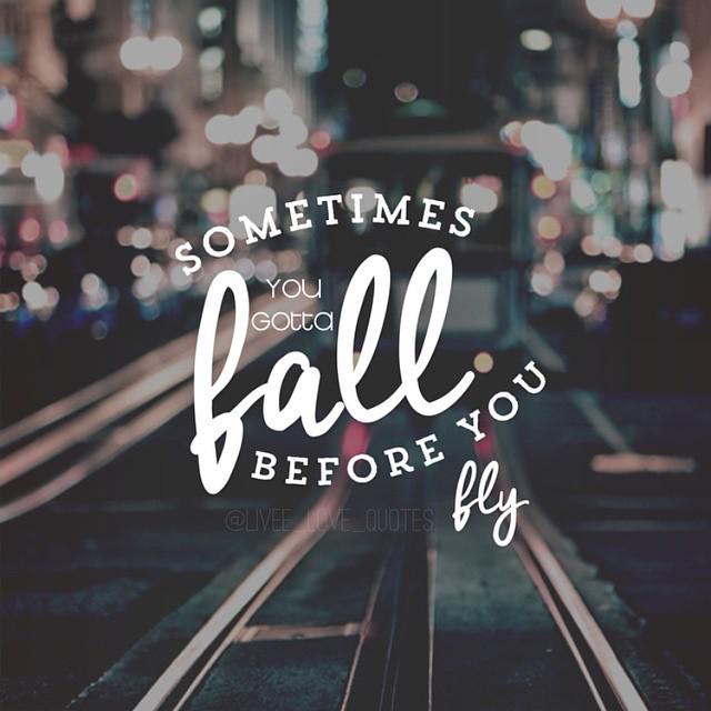 Sometimes You Gotta Fall Before You Fly