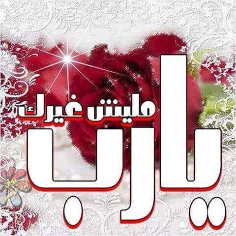 Khaled Eldeeb (@khaledeldeeb22) | Twitter