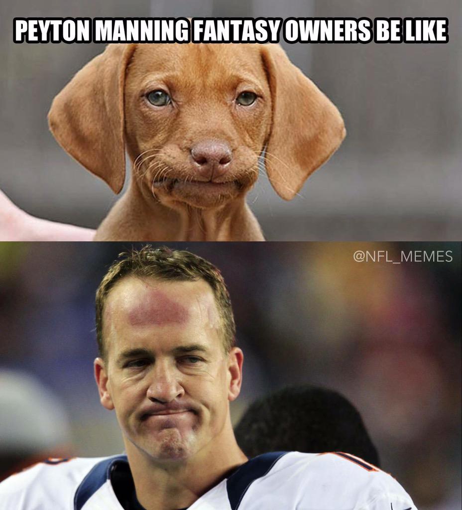 Peyton Manning Meme Dog