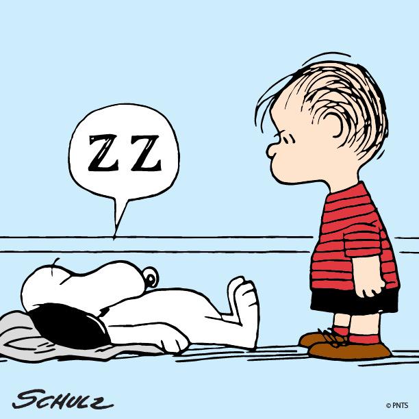 Snoopy Sleeping Cartoon