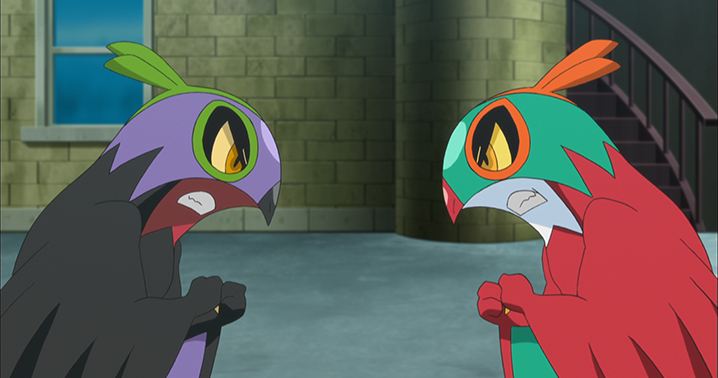 Shiny Hawlucha Pokemon