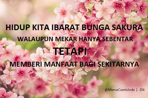 Bunga Quotes I Think Therefore I Am Confused Unga Bunga Meme"