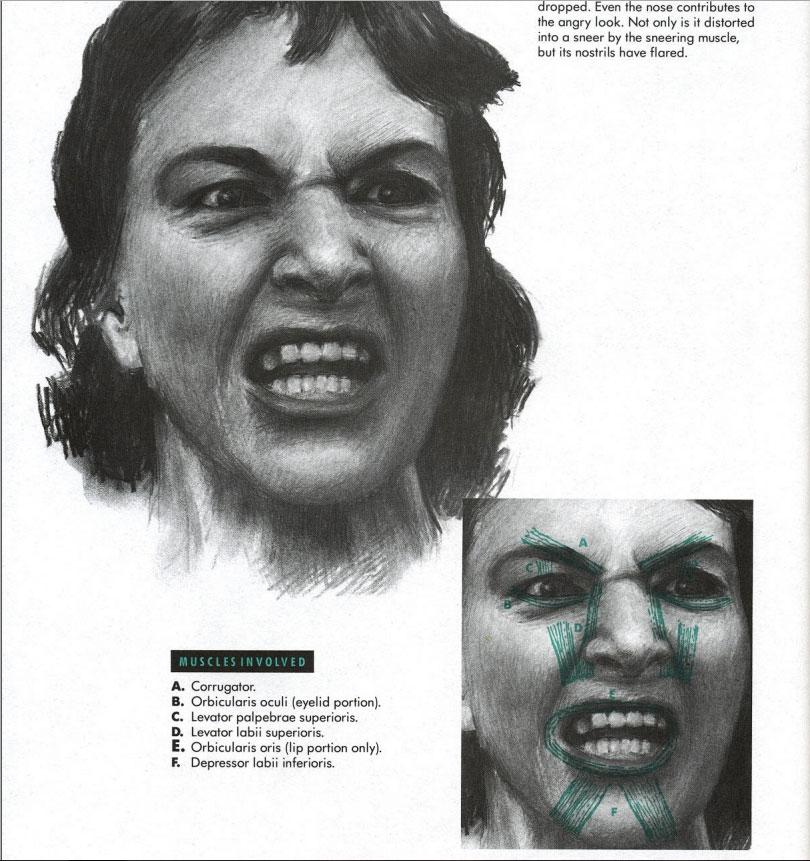 Sneer Facial Expression