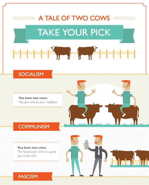 Tale Of Two Cows