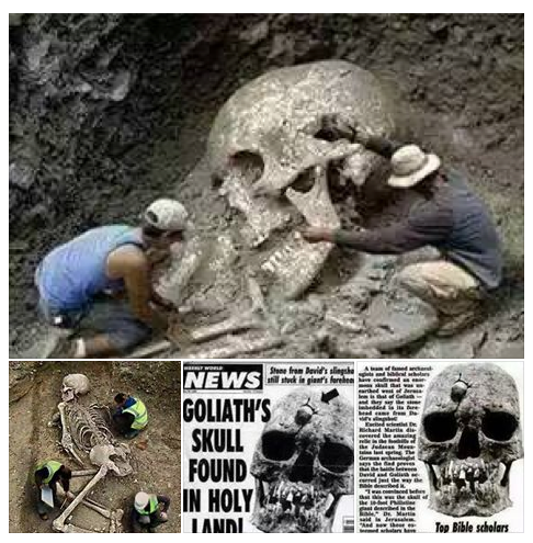 Goliath The Giant Face