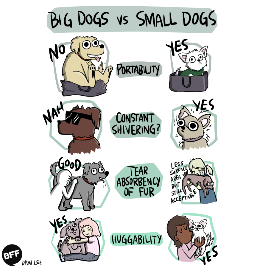 Why Bigger Dogs Are Better