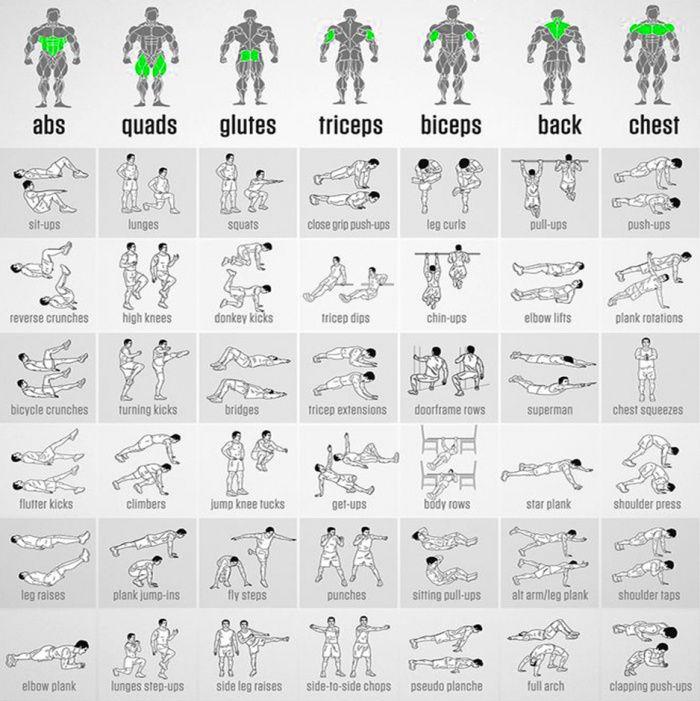 Chest Exercises Chart For Men