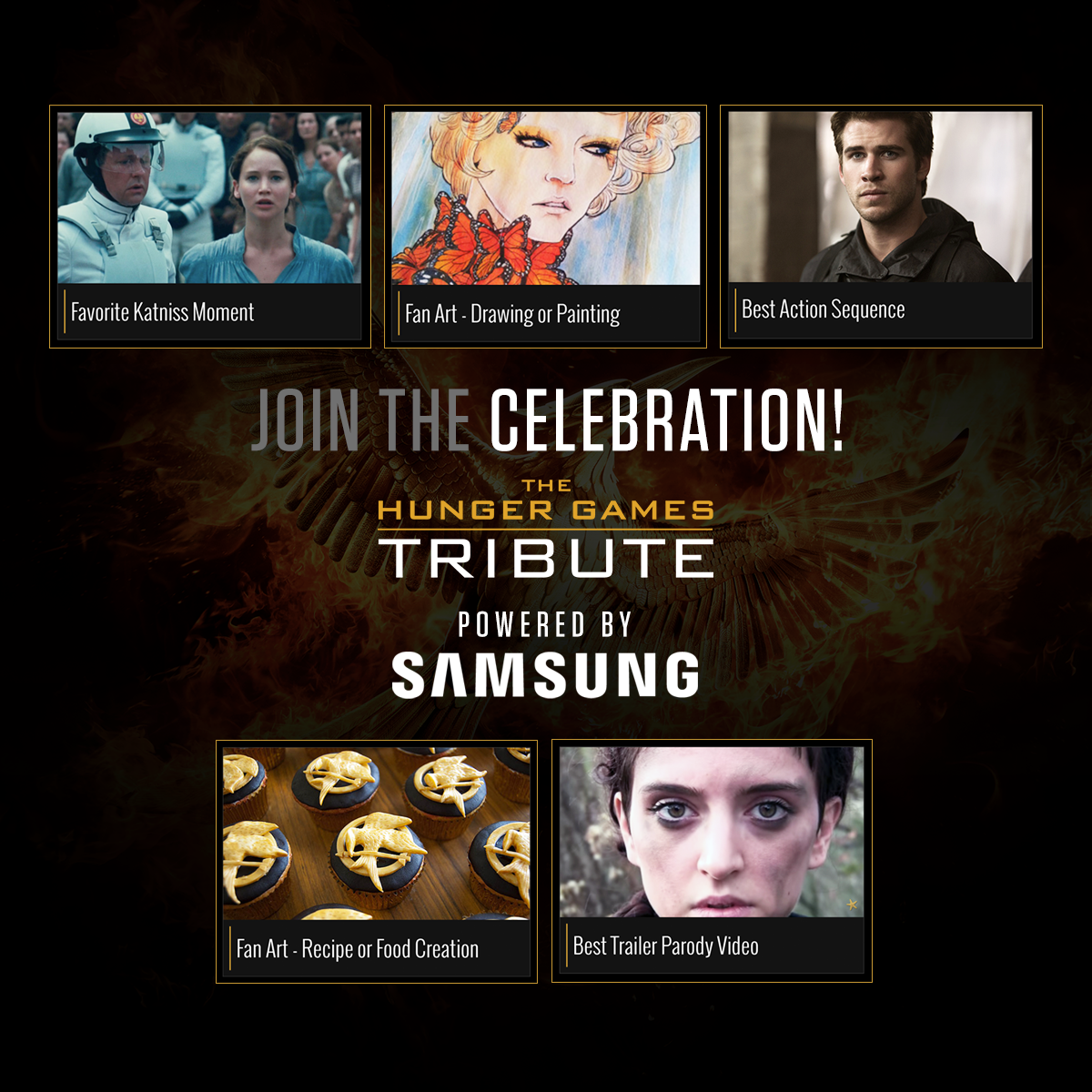 Hunger Games Fan Art Tributes