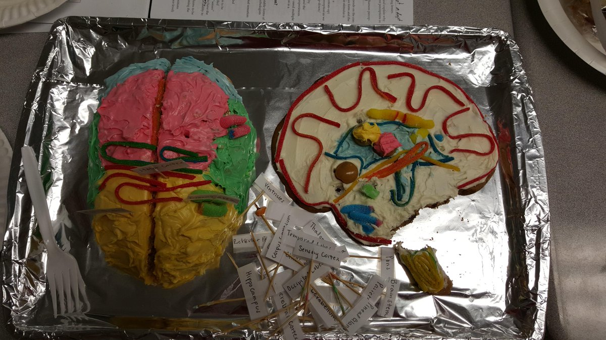 Psychology Brain Model Project
