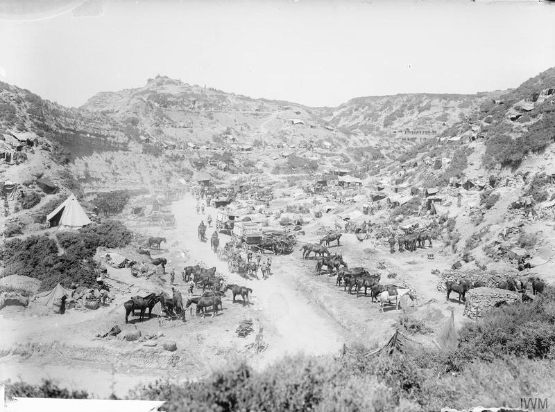 Gully Ravine : Latest News, Breaking News Headlines | Scoopnest