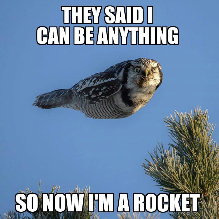 You can do anything you want in life, little owl. (via reddit) TGIF ...