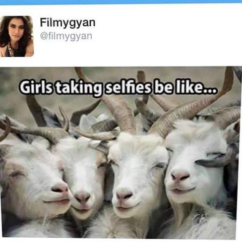 Funny Selfies Meme