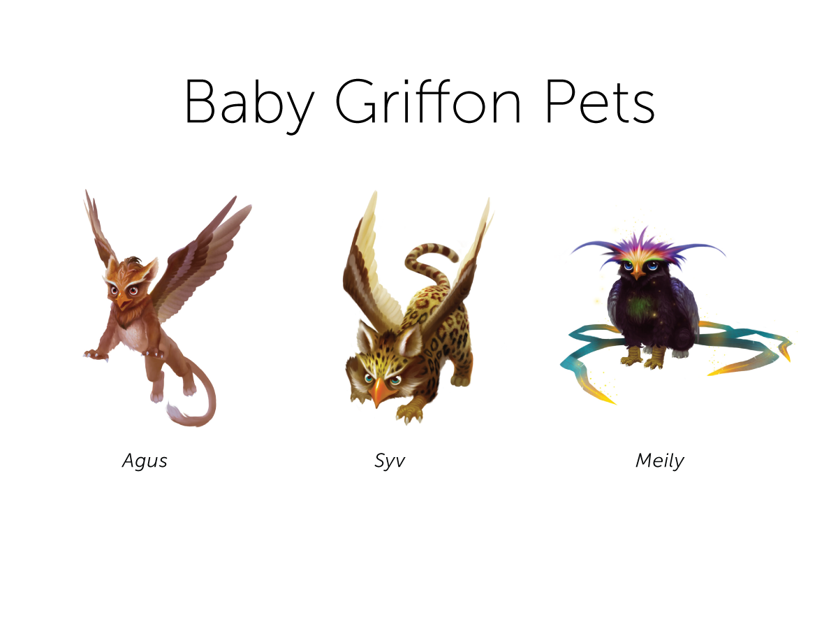 Baby Griffon