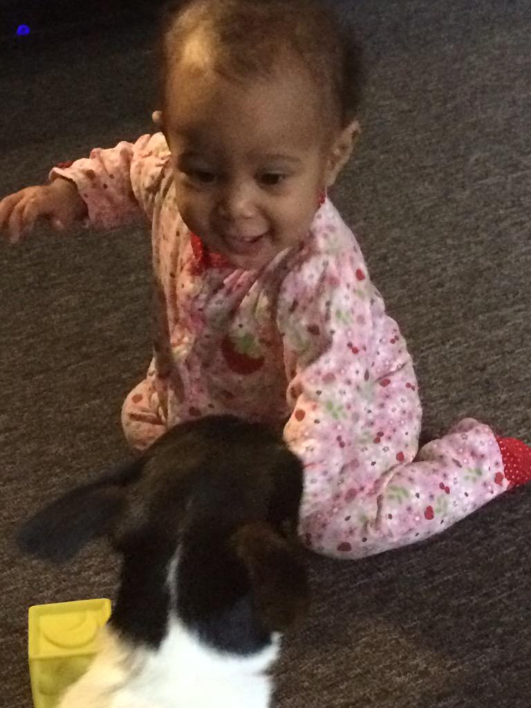 Tara Locklear (@TaraLocklear2) | Twitter