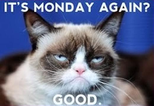Happy Monday Cat Meme