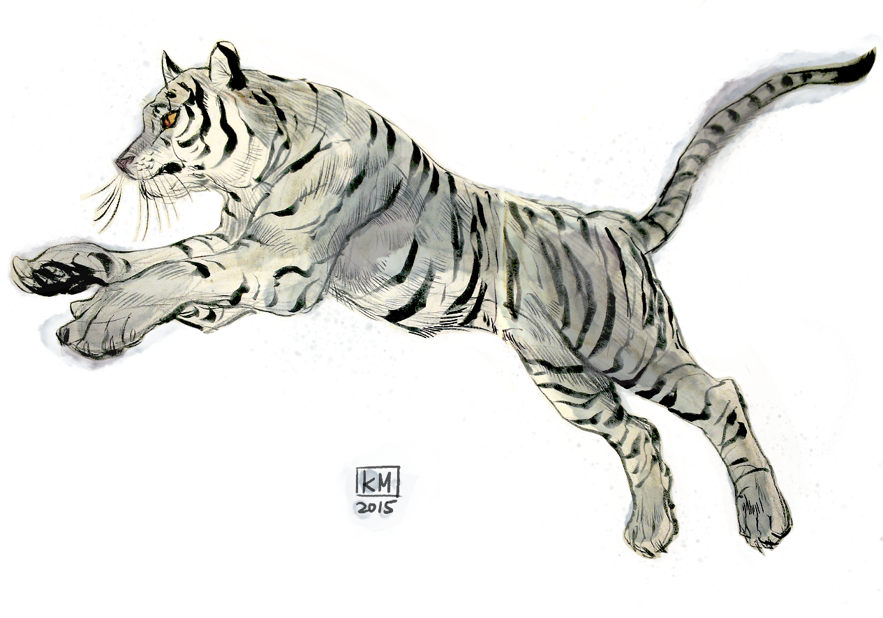 Tiger Pouncing Drawing