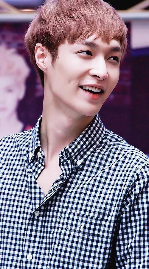 Exo Lay Smile
