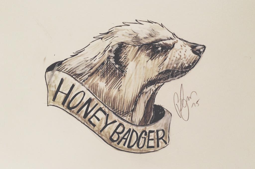Angry Badger Drawing