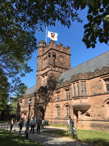 Princeton University Flag