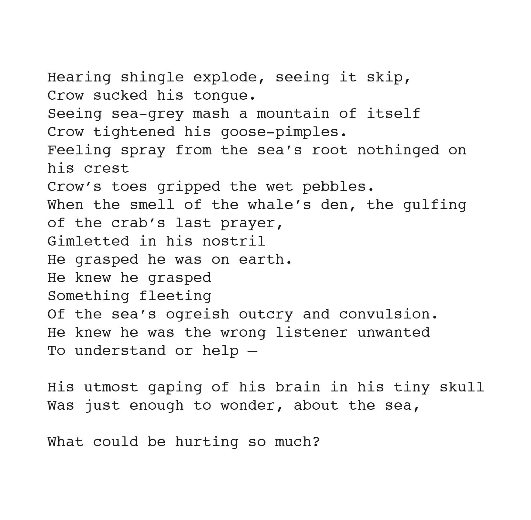 Ted Hughes Crow