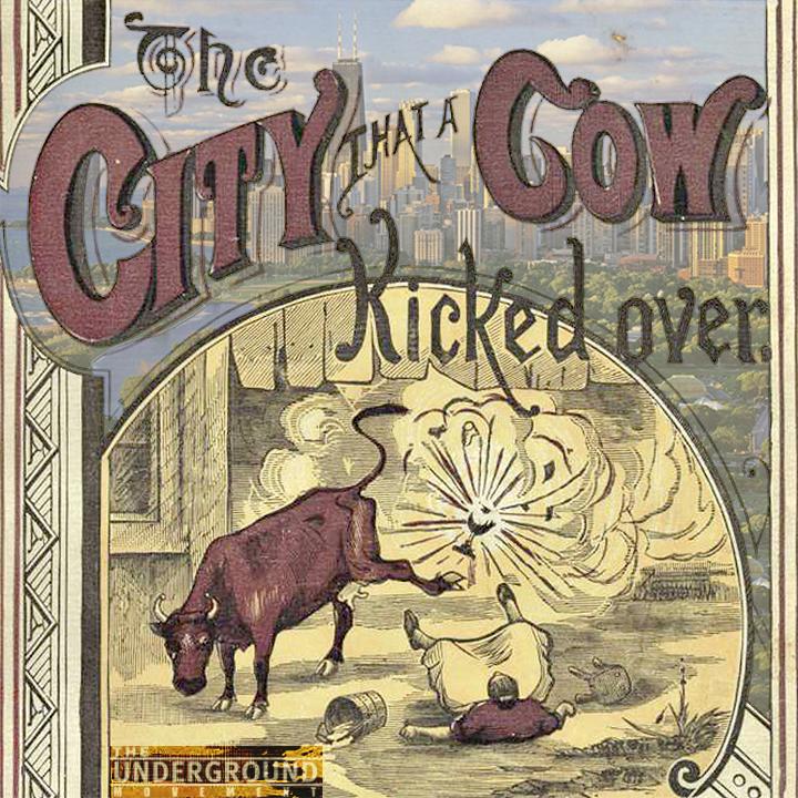 Great Chicago Fire Cow