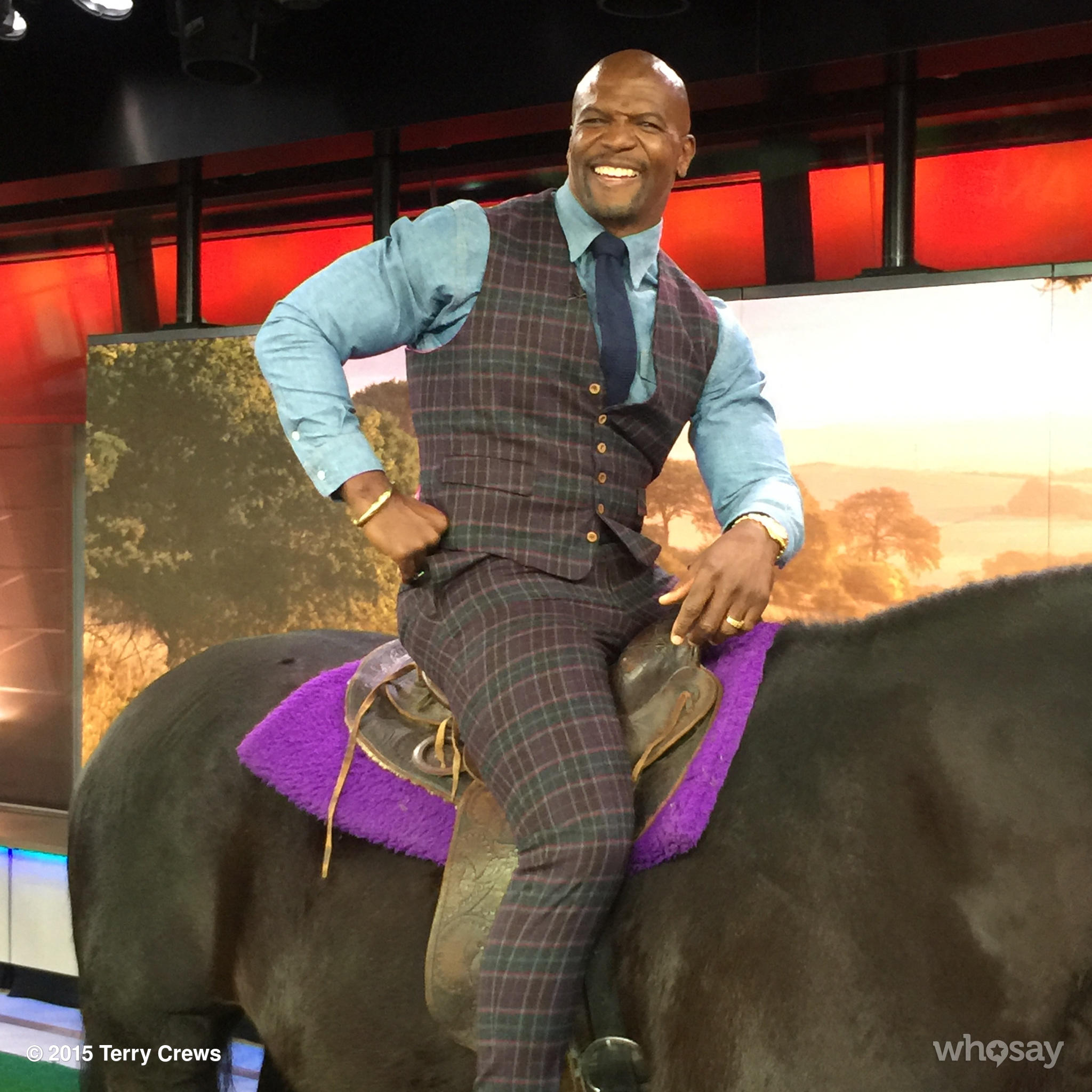 Terry Crews Old Spice Horse 427 Isaiah Mustafa Old Spice Stock Photos,