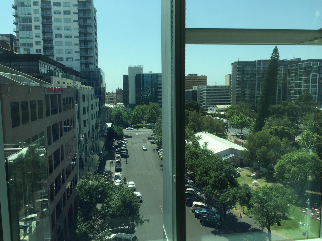 Bee Squared (@squared_bee) | Twitter