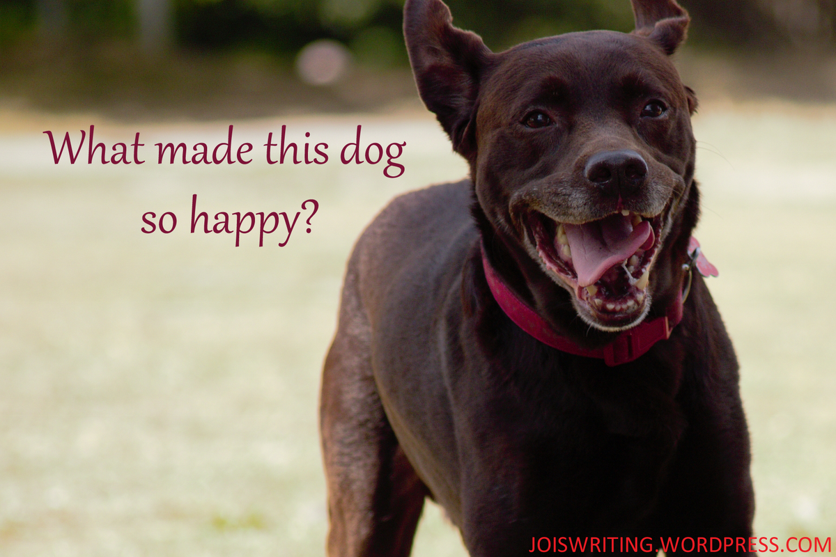 Writing Prompts | A Writer's Life for Me