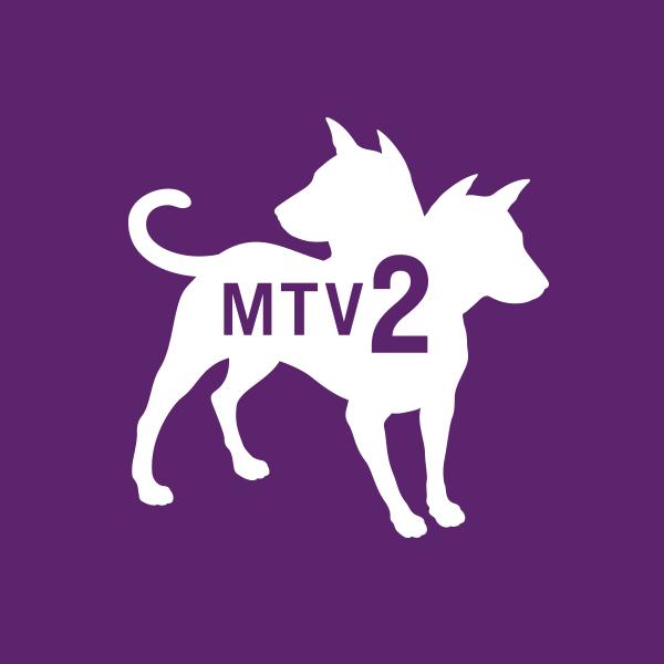 Mtv 2 Logo