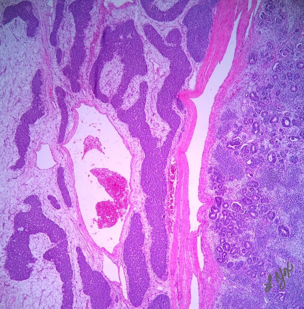 neha_path (@neha_varshney) | Twitter