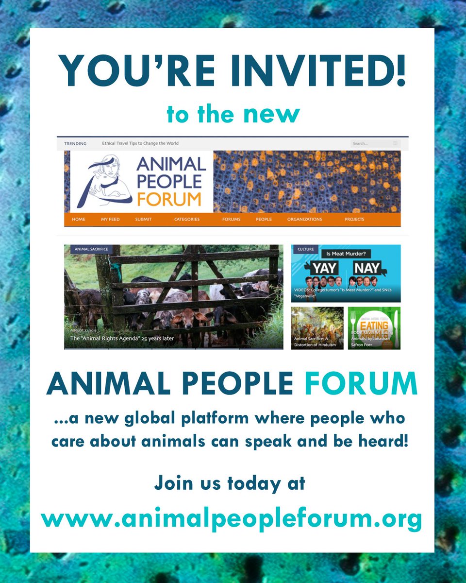 Andi Kola (@iamAndiKola) | Twitter