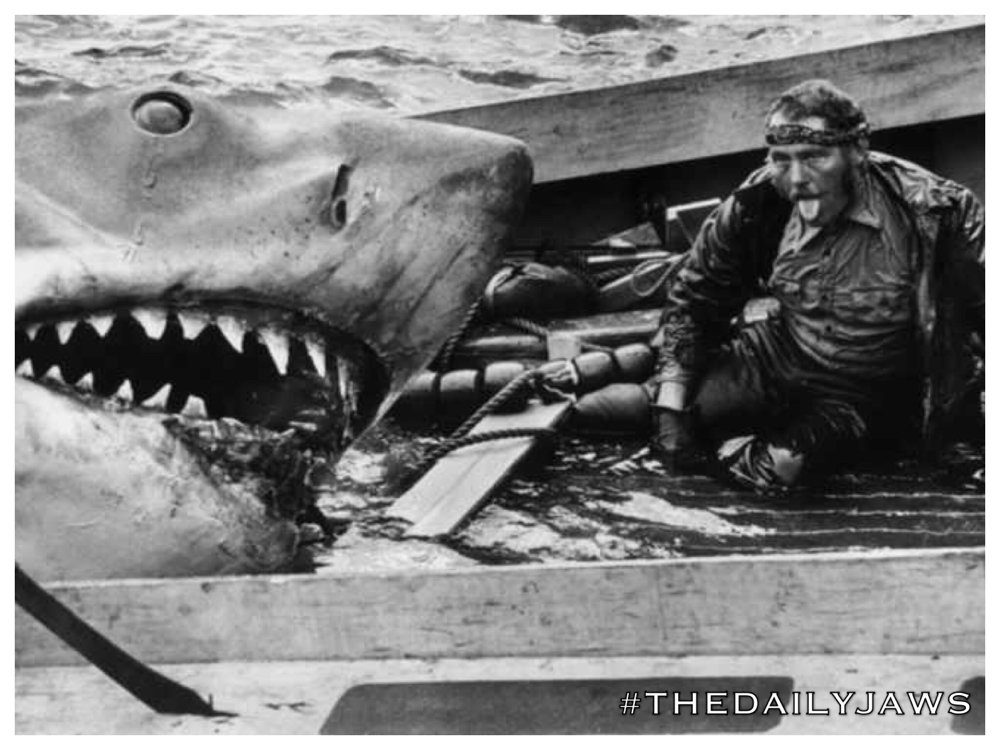 Jaws Shark Attack Boat