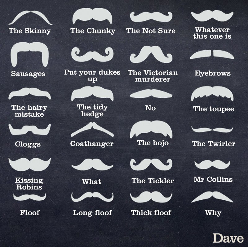 Movember Mustache Guide