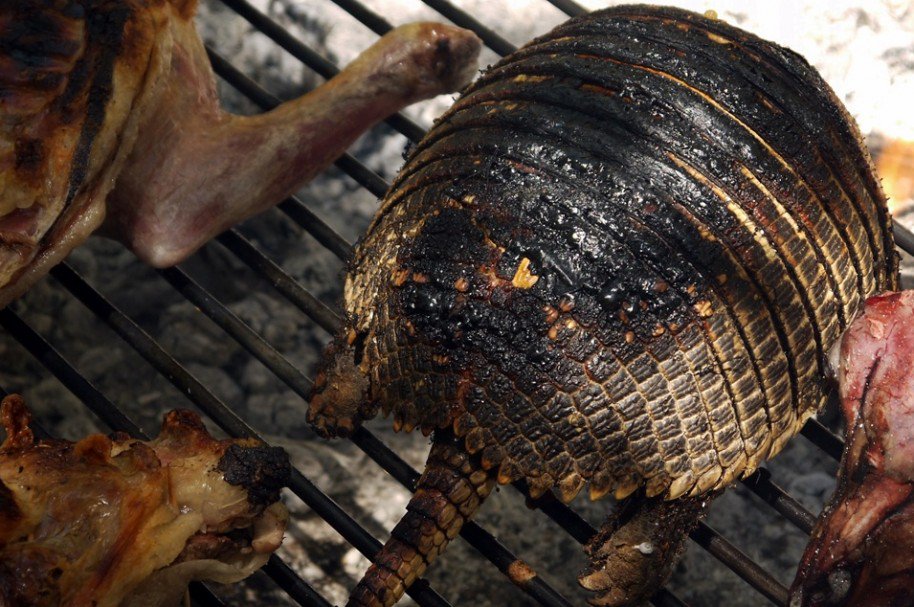 Gurre: #Gourmet Gurre, jute y mojojoy, algunos platos exóticos de Colombia