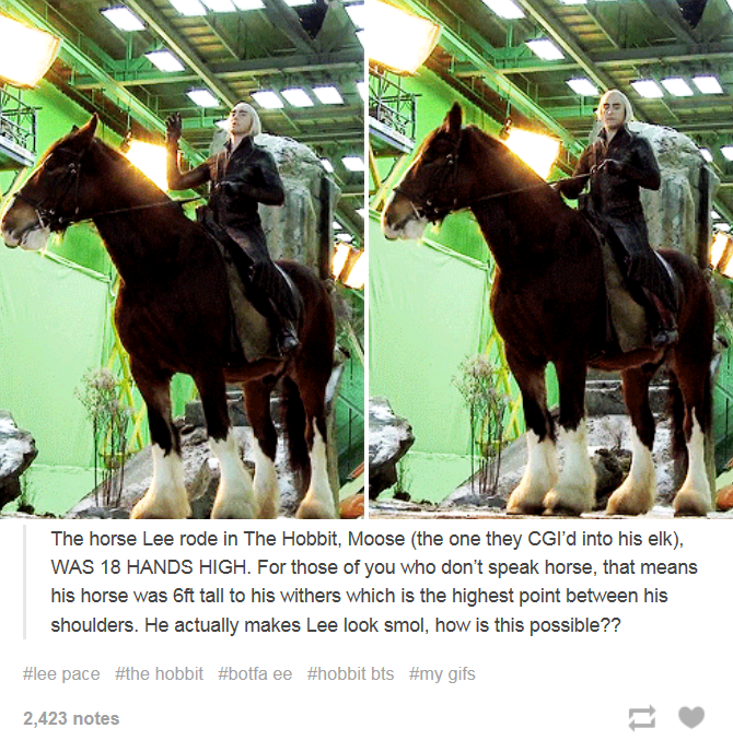 Thranduil Lee Pace Moose