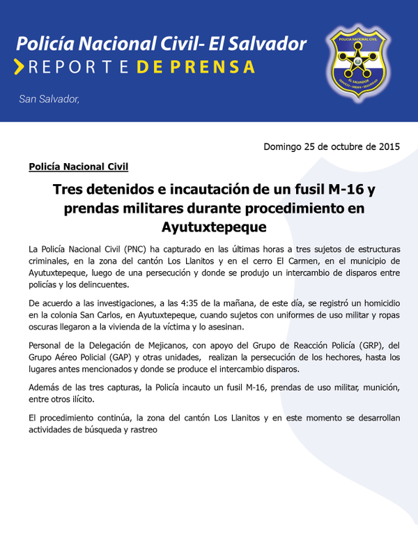 Ejemplo De Informe De Investigación Policial Vista De Modelo