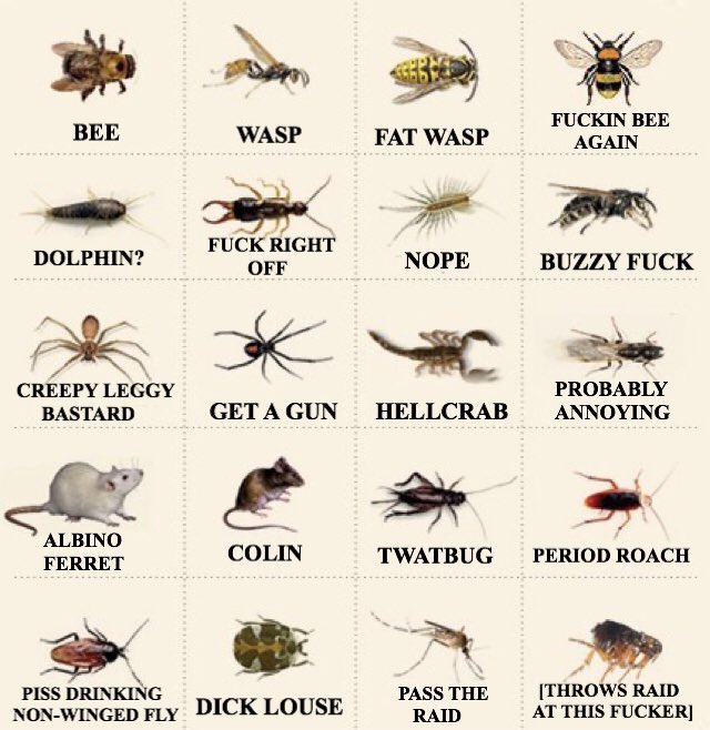 In this hot weather you might like to read this handy guide to bugs ...
