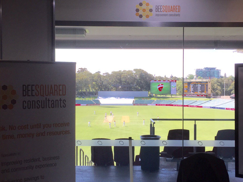 Bee Squared (@squared_bee) | Twitter