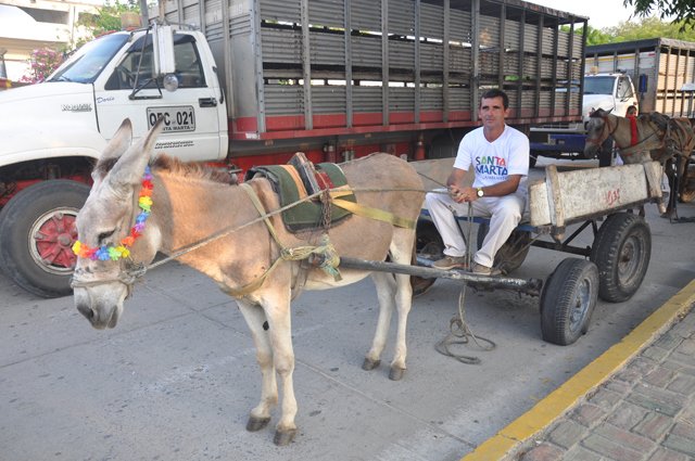 Recientemente Diploma quiero carro con mulas naranja empresario Mujer