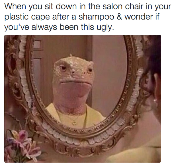 Don't look at me. I'm hideous | Scoopnest