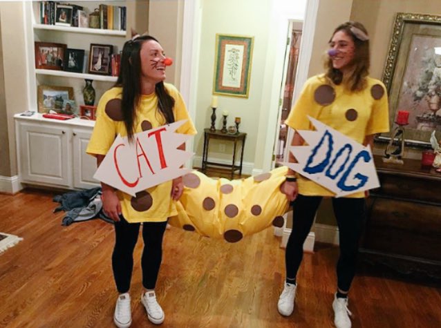 Diy Catdog Costume
