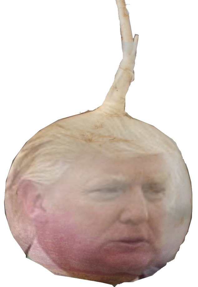 DONALD TURNIP : r/ooerintensifies