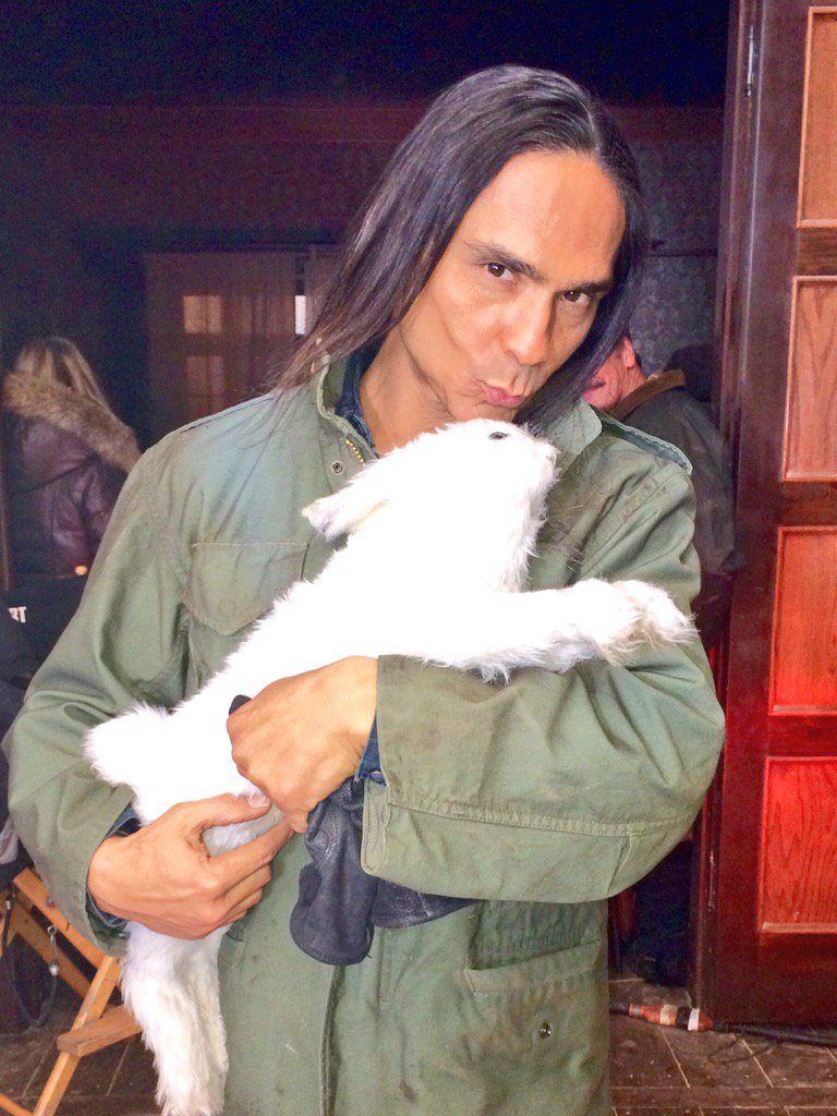 1000+ images about zahn on Pinterest