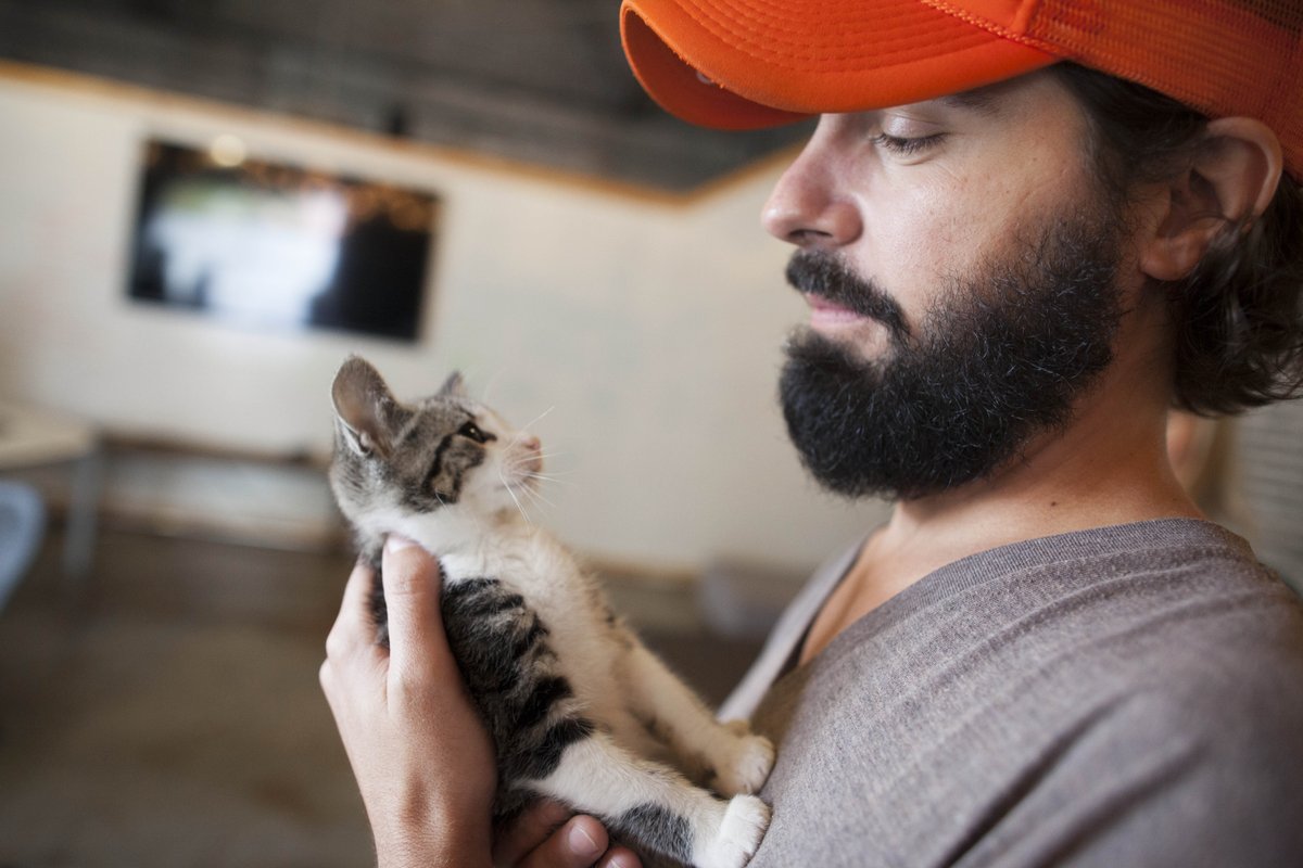 hellowerewolf (@hellowerewolf) | Twitter