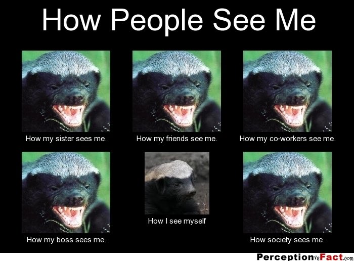 How I See Myself How Others See Me Meme
