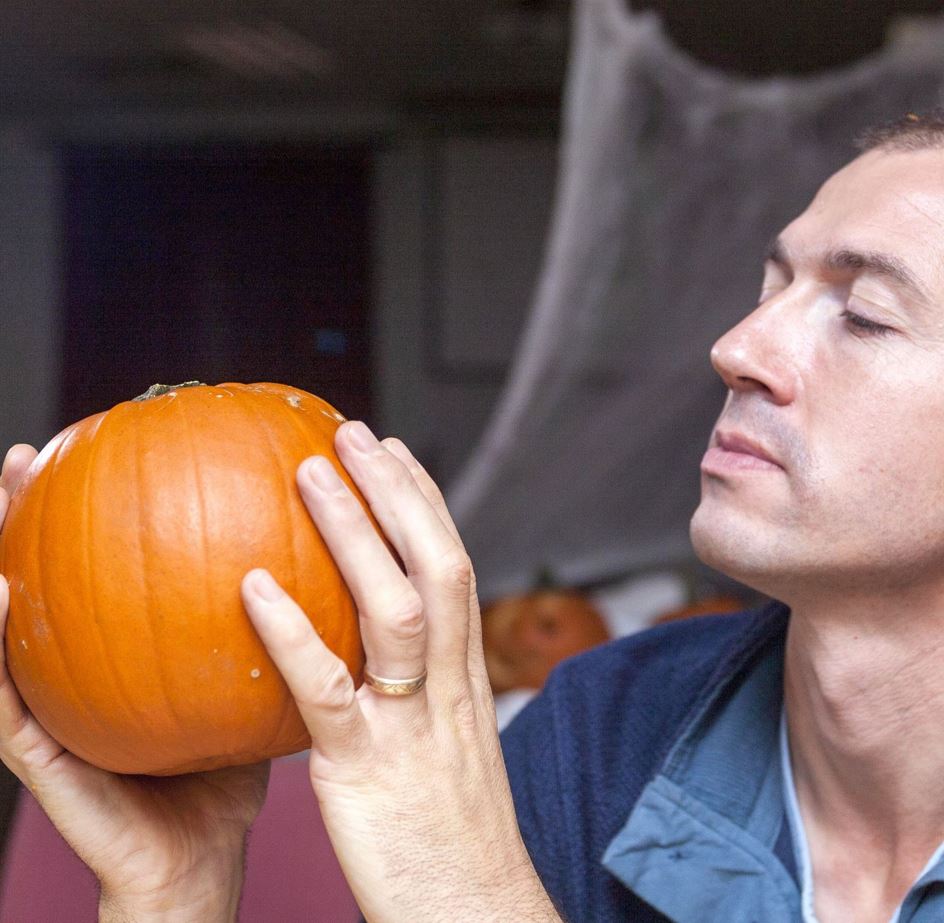 World champion pumpkin carver Dave Finkle shows you how to create ...