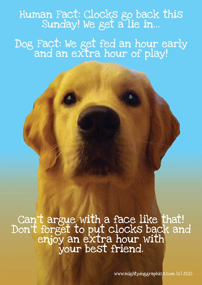 Set Clocks Back Quotes