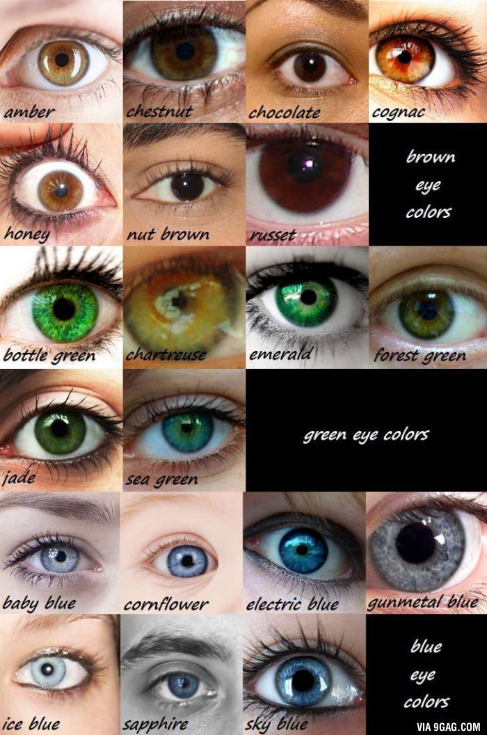 What's the color of your eye? | Tipos de ojos, Inspiración para la ...